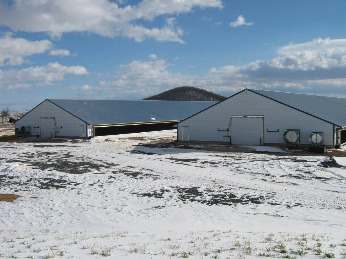 63’x624’x7.5′ Broiler House - Stoneburner Inc